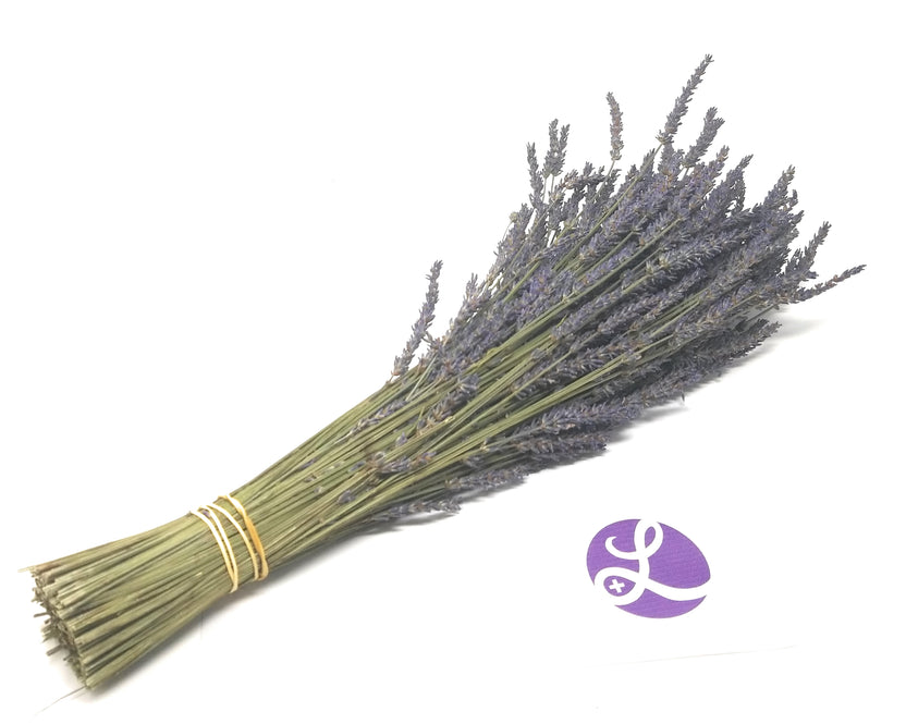 Find many lavender plants and gift ideas. Best lavender bundles ...