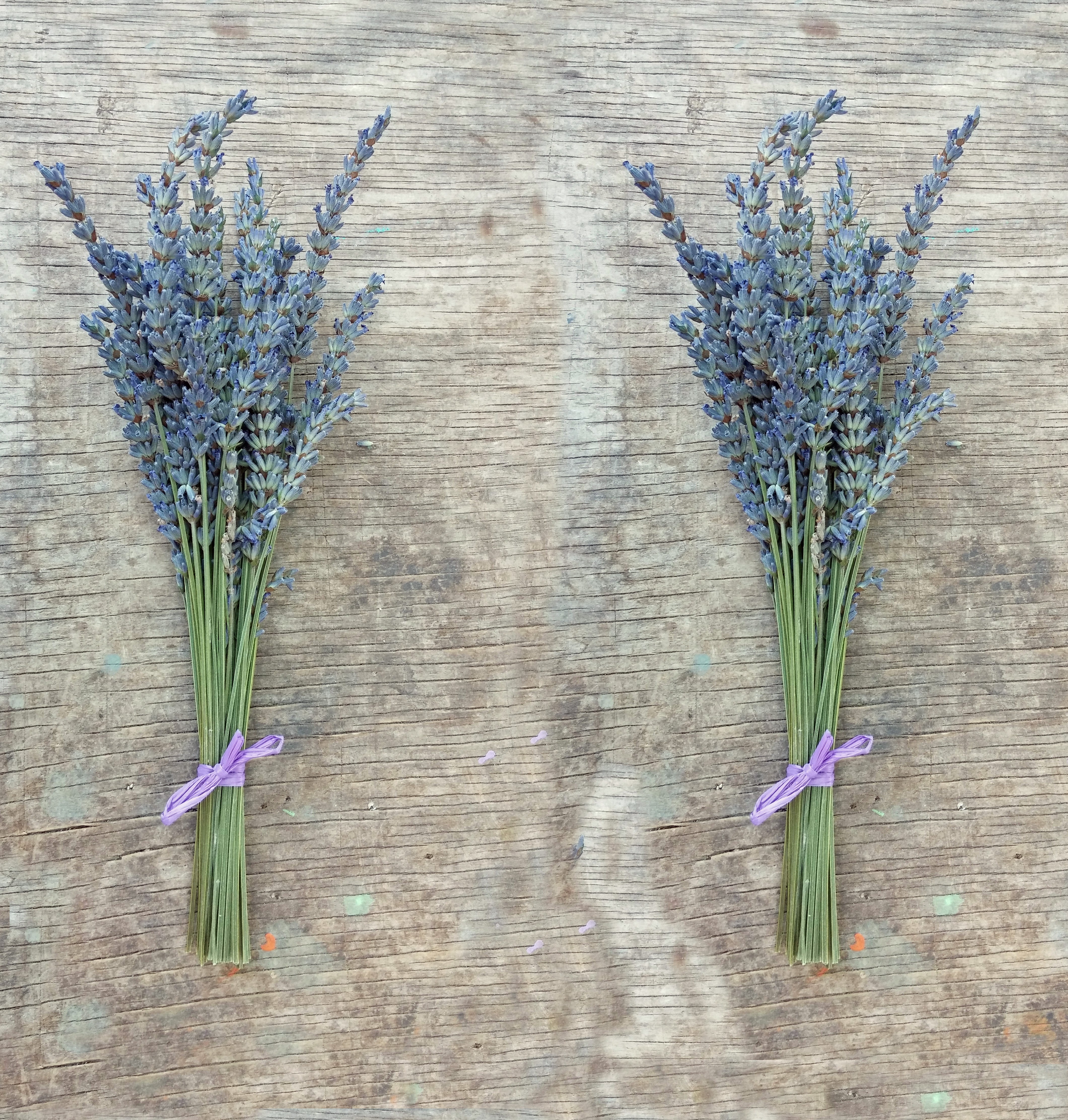Small Lavender Bundles| Dark Purple Color – Findlavender.com